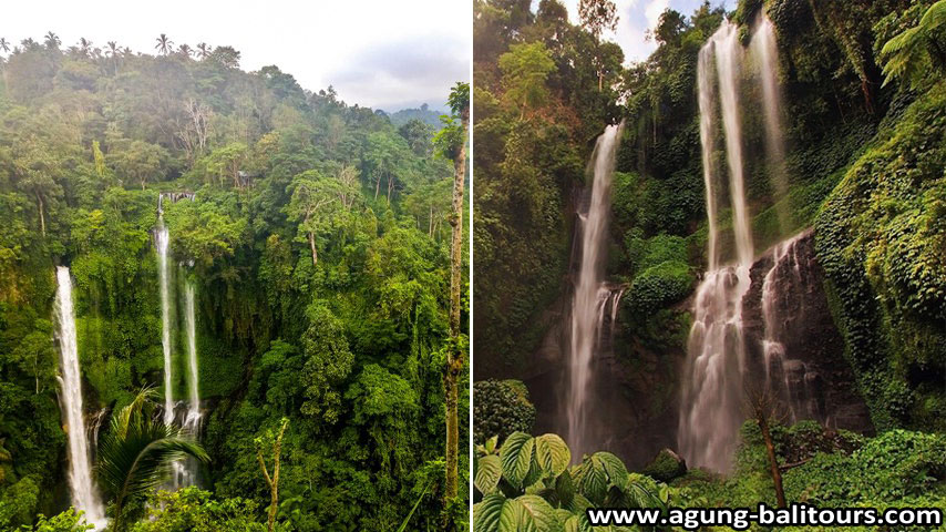 How to Get Cheap and Fun Bali Sekumpul Waterfall Tour Easily - Article ...