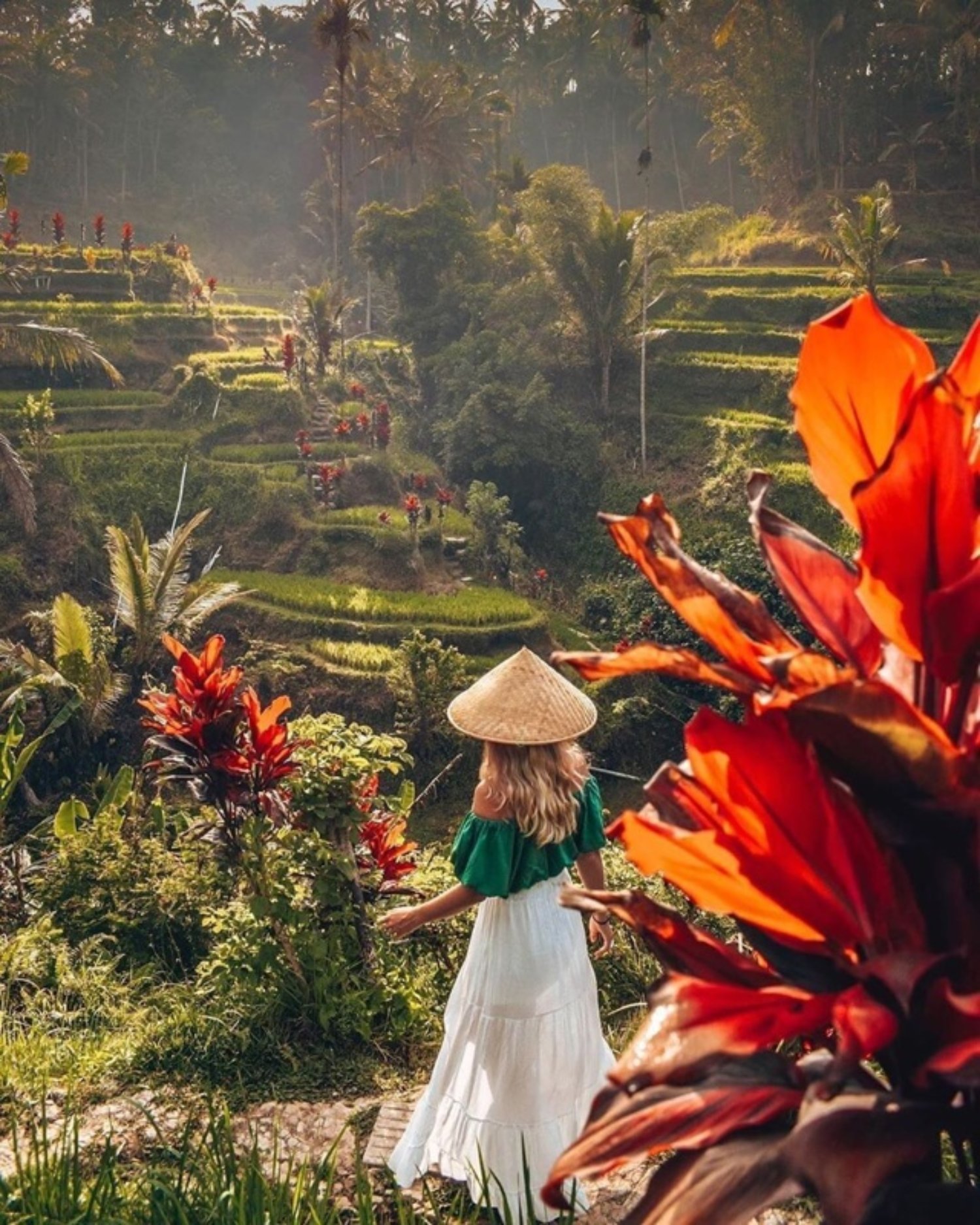 Full Day Ubud Sightseeing Tour