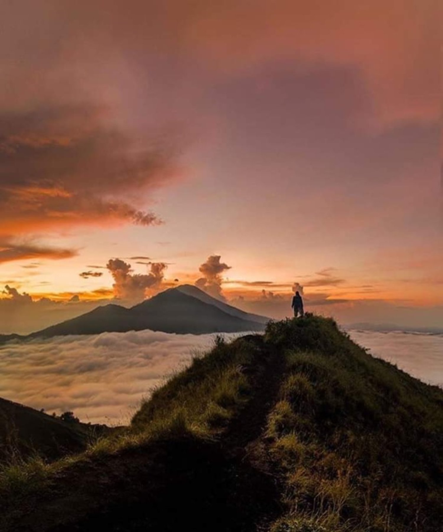 Most Famous Bali Swing Sacred Monkey Forest And Volcano Day Tours