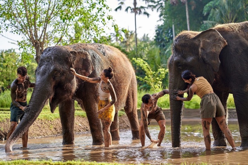 Elephant Mud Fun Bathing with Ubud Highlights Tour