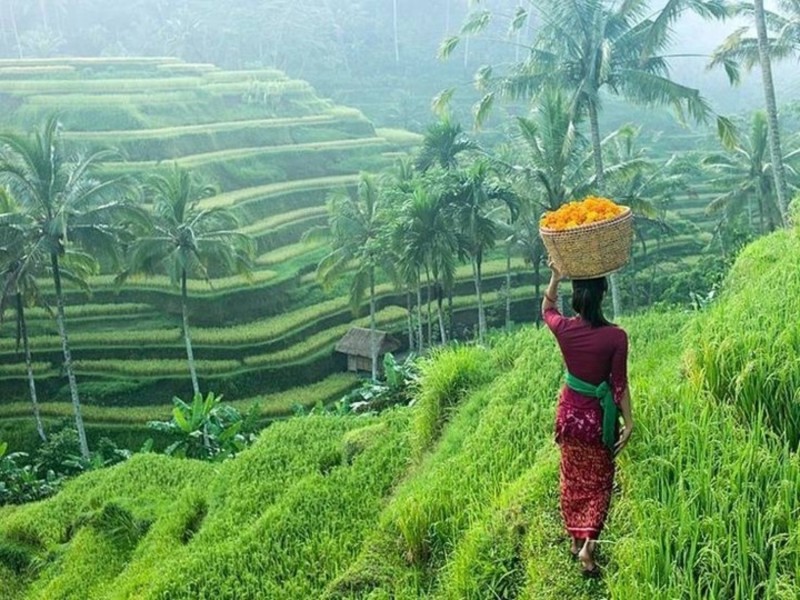 Bali: Full-Day Traditional Village Sightseeing Trip with Lunch & Transfer