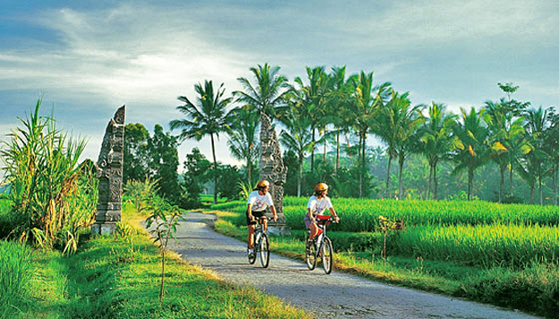 Bike bike tours ubud