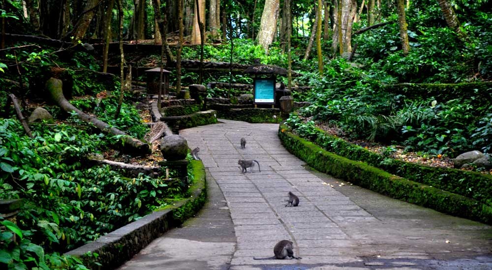 Ubud Monkey Forest