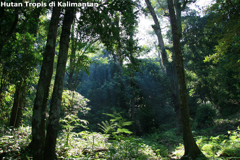 Inilah 3 Ciri Khas dari Kalimantan Selatan Yang Perlu Anda Tahu!