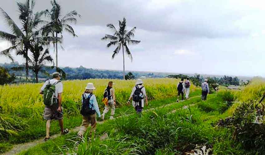 Private Bali Trekking and Tour Guide